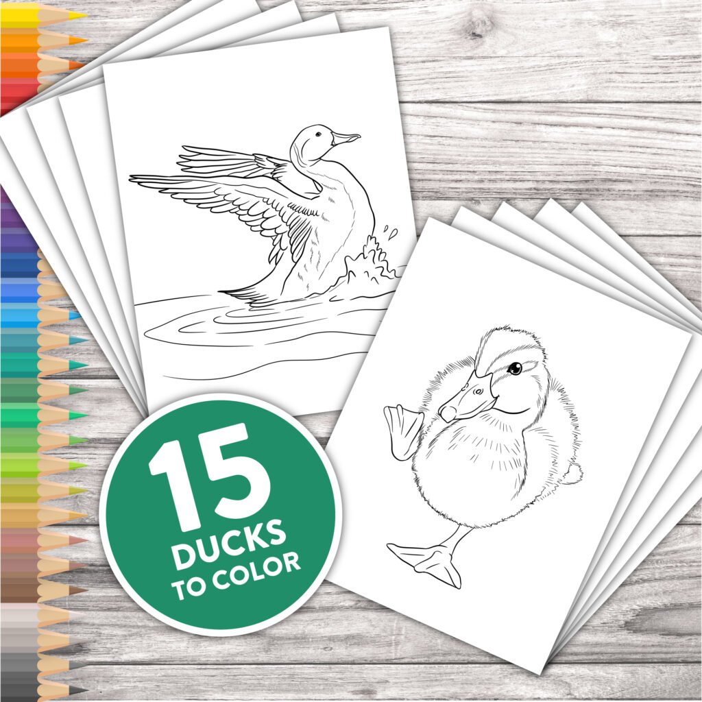 Duck Adult Coloring Pages | Printable Animal Coloring Pages | Sia ...